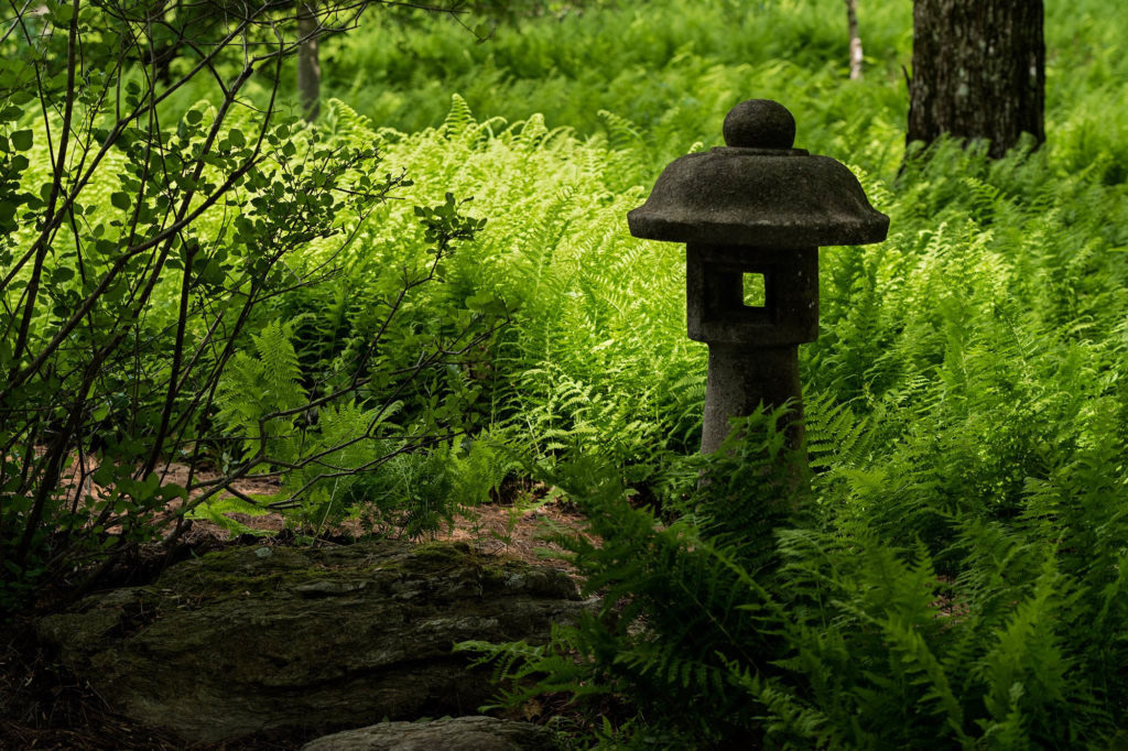 Places Of Contemplation | Richardson and Associates