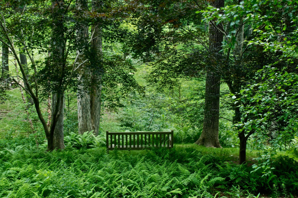 Places Of Contemplation | Richardson and Associates